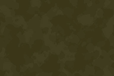 body-bg – Military Experts Supplier Modern Military Re-enactor Airsoft ...